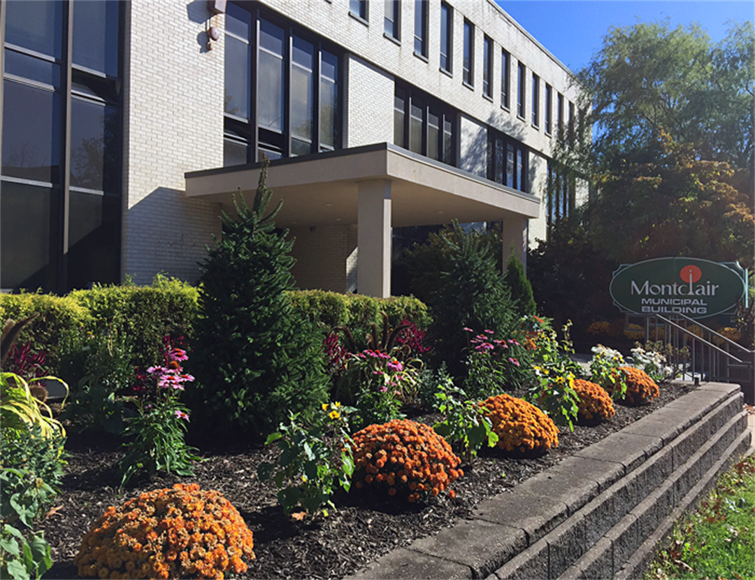 Senior Citizen Health & Wellness Center - Community Visioning Session ...
